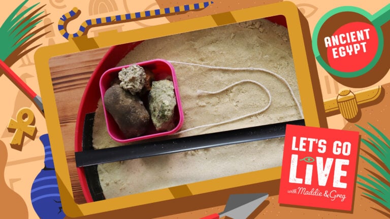 DIY 'Shaduf' - Let's Go Live